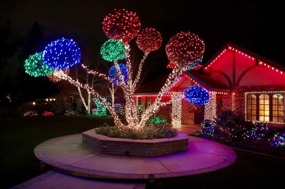 Trees & Shrubs | Christmas Lights and Decor for Your Trees and Shrubs